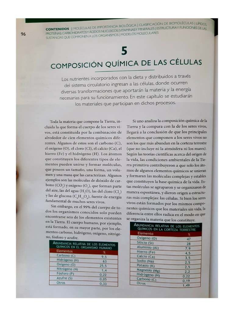 Composicion Quimica de Los Seres Vivos | PDF