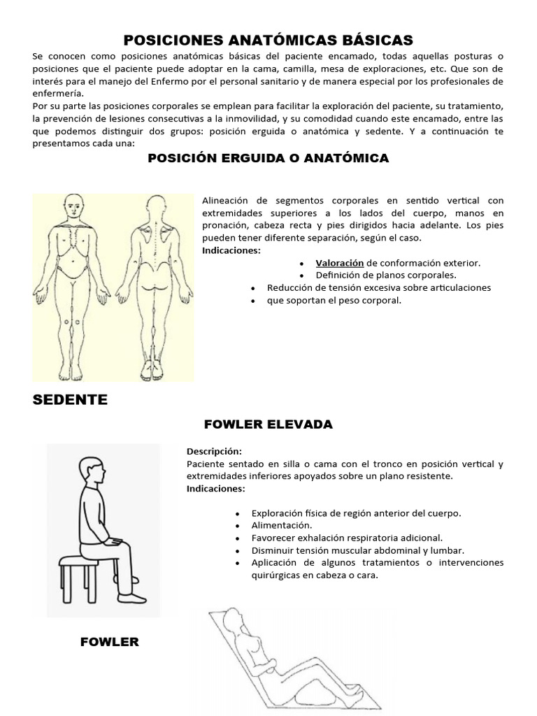 Posiciones Anatómicas | PDF | Términos anatómicos de ubicación | Rodilla