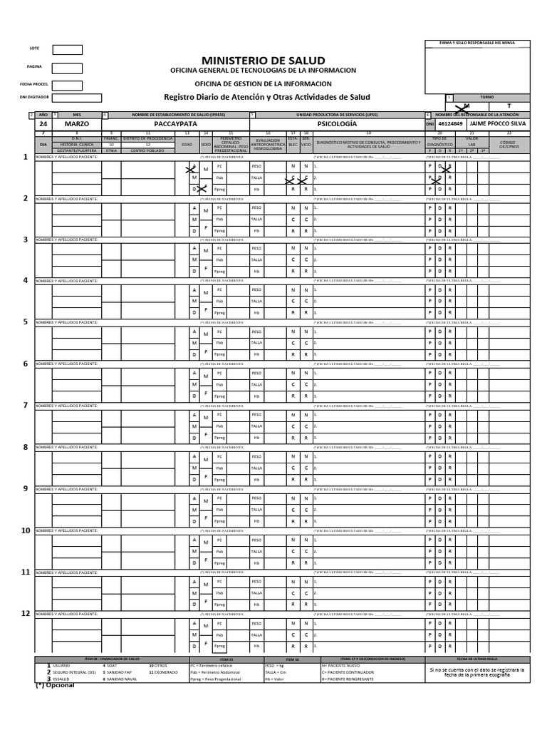 Formato His 2024 | PDF | Cuidado de la salud | Ciencias de la Salud