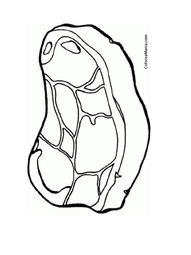 Tarea de Luca 1 | PDF