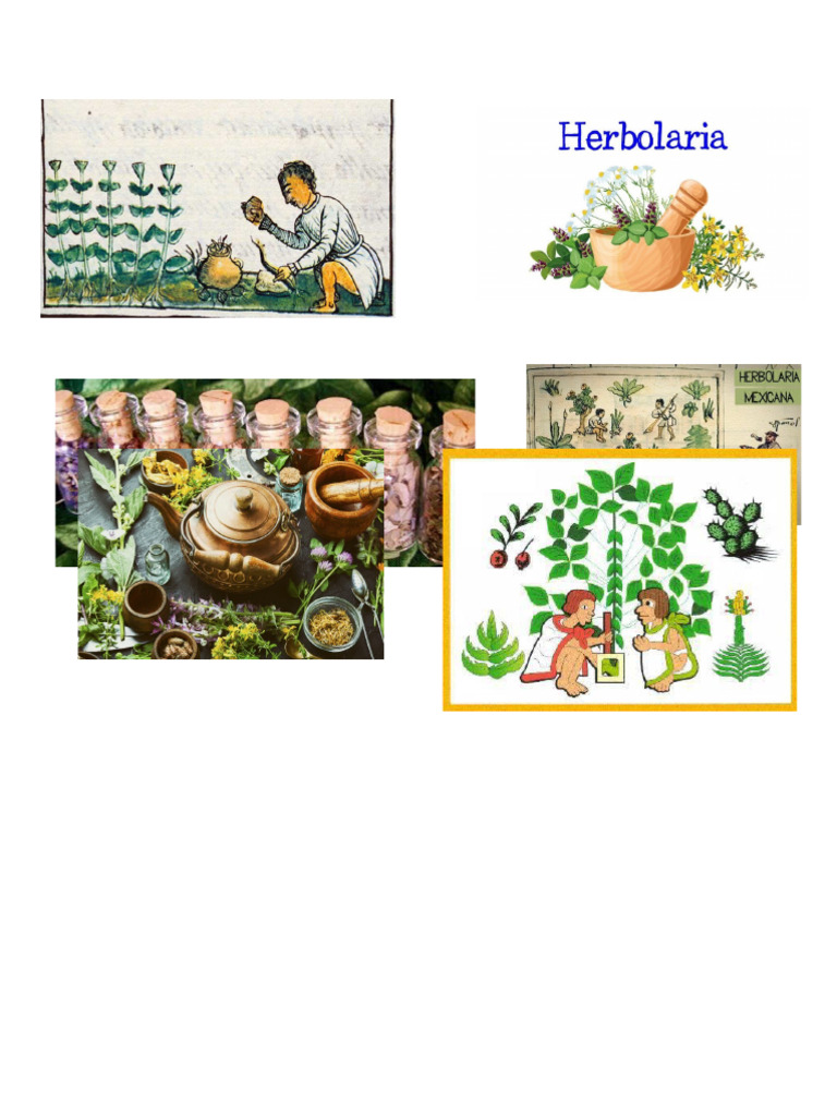 Tarea Luca Read | PDF