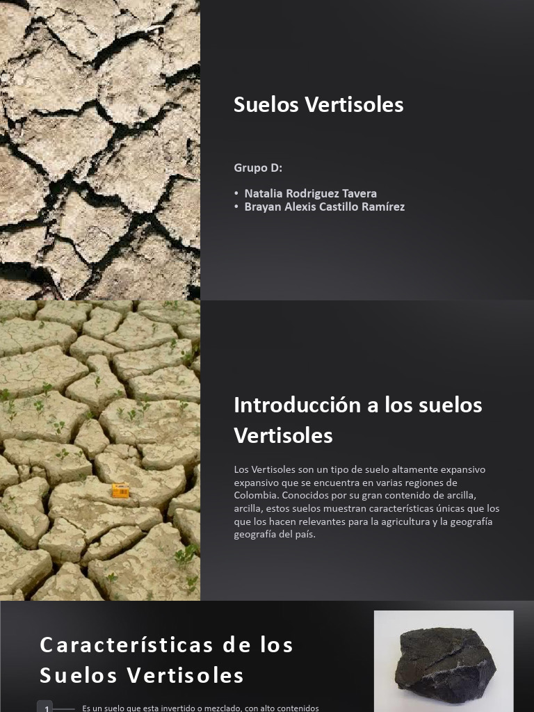 Características y Manejo de Vertisoles | PDF | Suelo | Ciencias de la ...