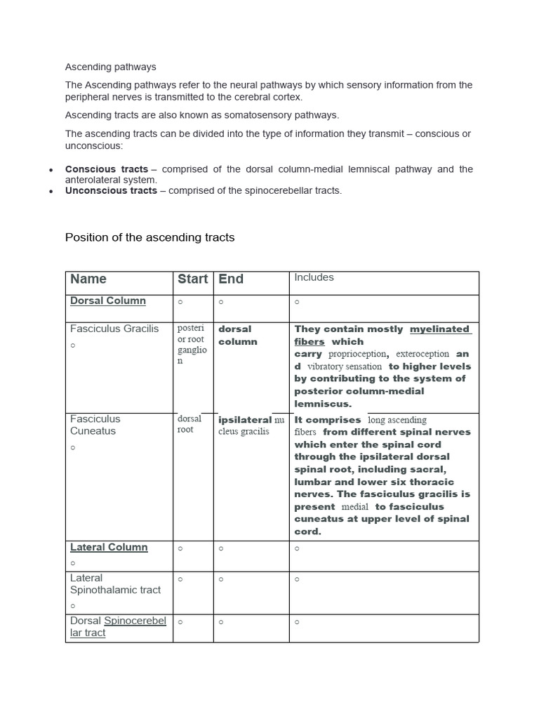 Ascending pathwaysGNN | PDF | Human Anatomy | Nervous System