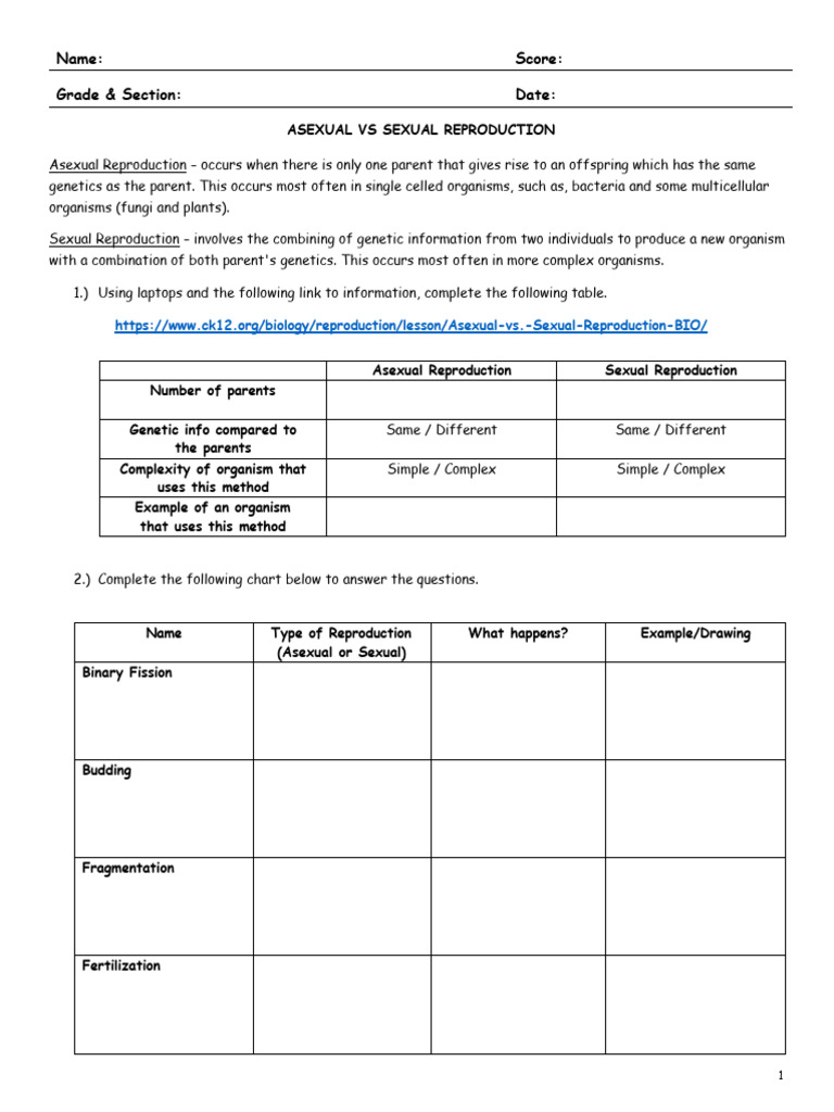 Worksheet - Sexual and Asexual Reproduction - NO-Answers | PDF | Sexual ...