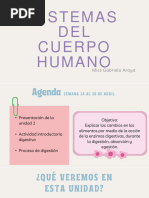 Digestión: Bolo, Quimo y Quilo | PDF | Digestión | Tracto gastrointestinal