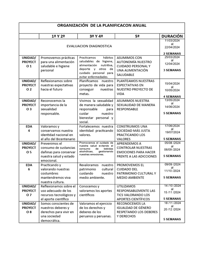Organizacion de La Planificacion Anual | PDF