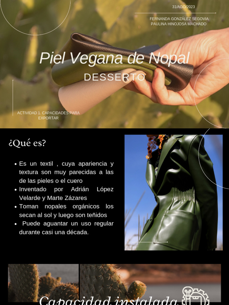 Piel de Nopal | PDF | Business | Cuero