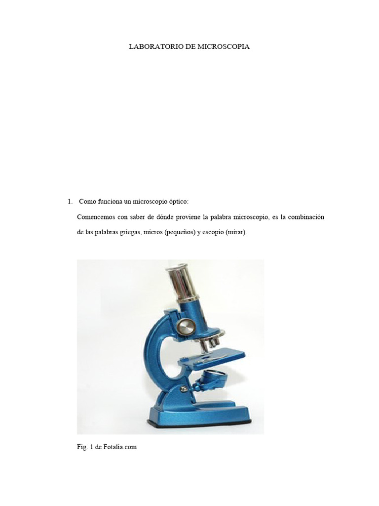 Laboratorio de Micros | PDF | Óptica | Microscopio