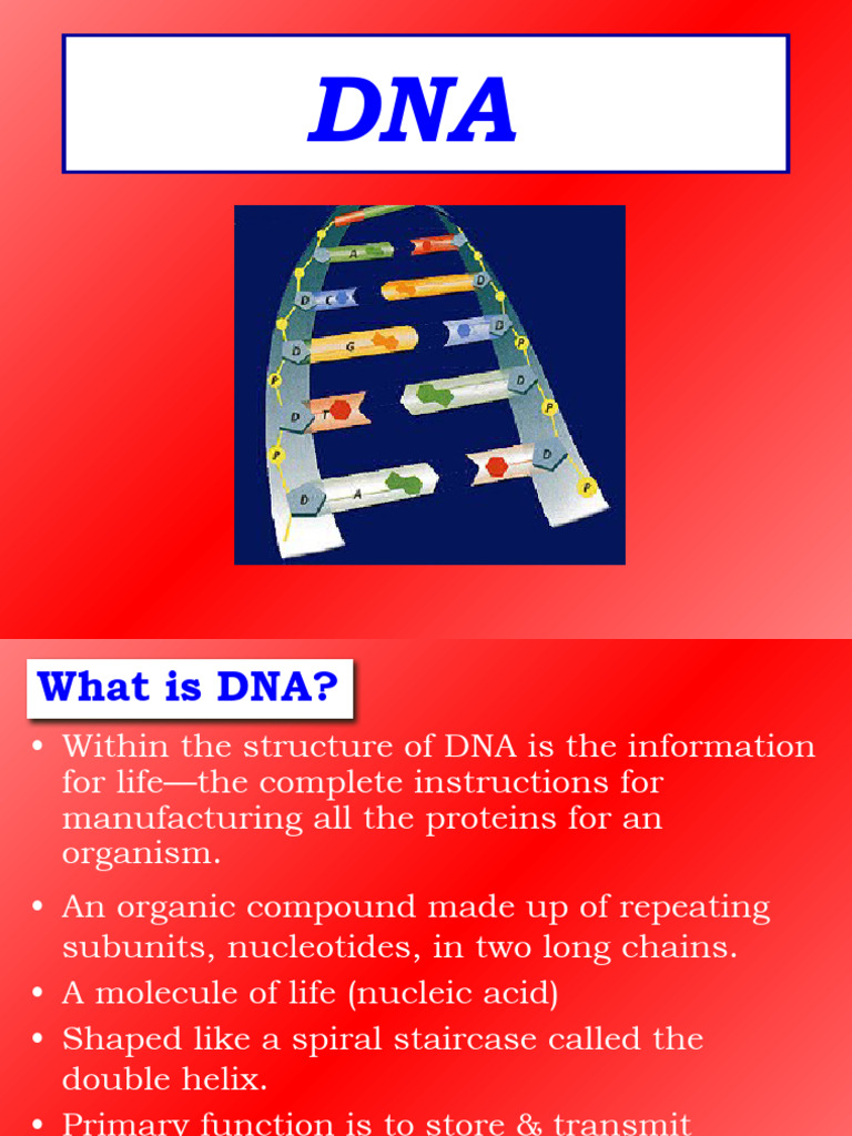 Dna Rna 11 | PDF | Rna | Dna