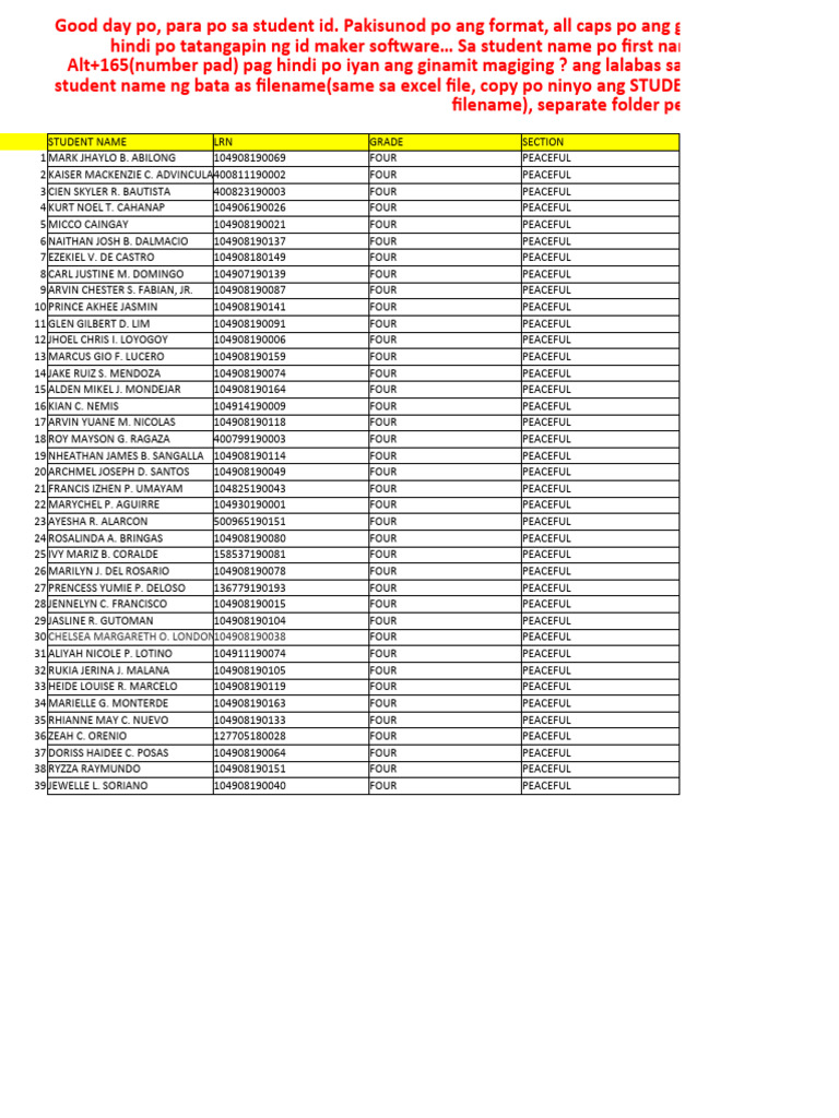 Student ID Format and Guidelines | PDF