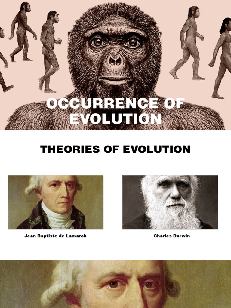 Evolution Theories: Lamarck vs. Darwin | PDF | Natural Selection ...