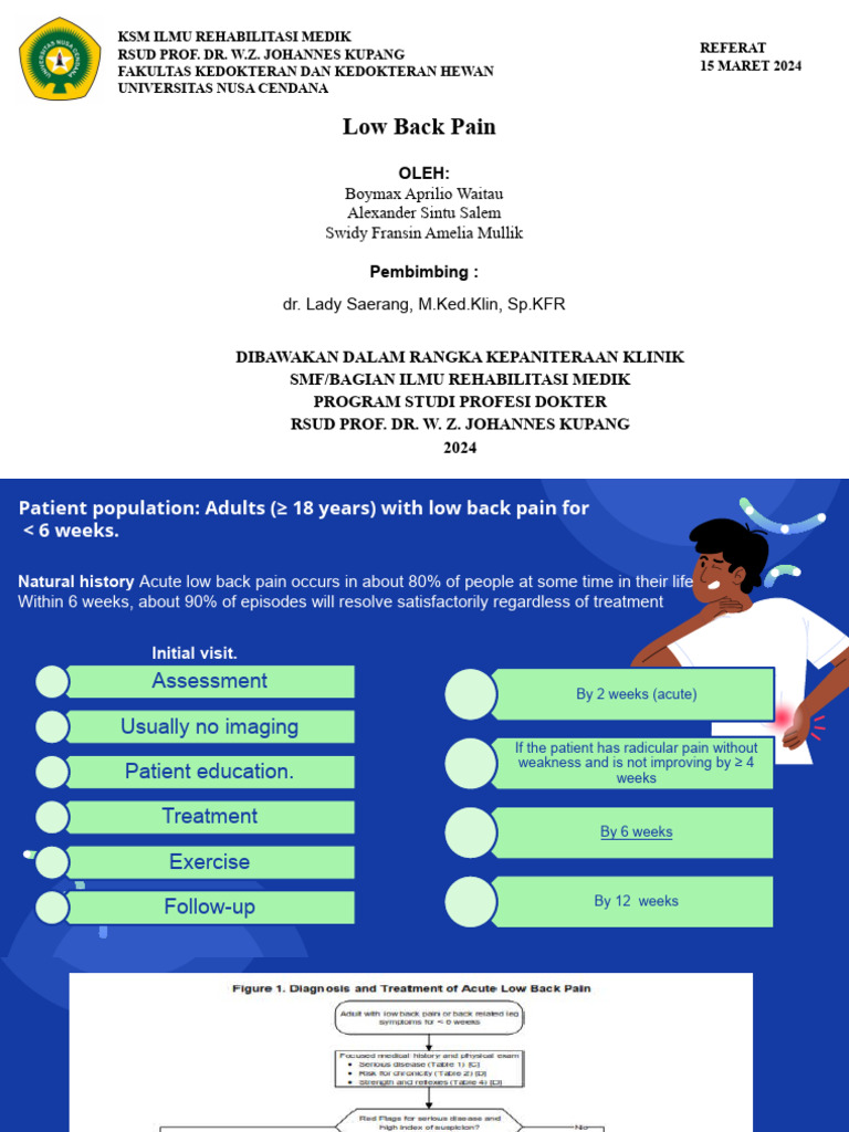 Refrat LBP DM Max, DM Alex, DM Swidy | PDF | Feeling | Pain