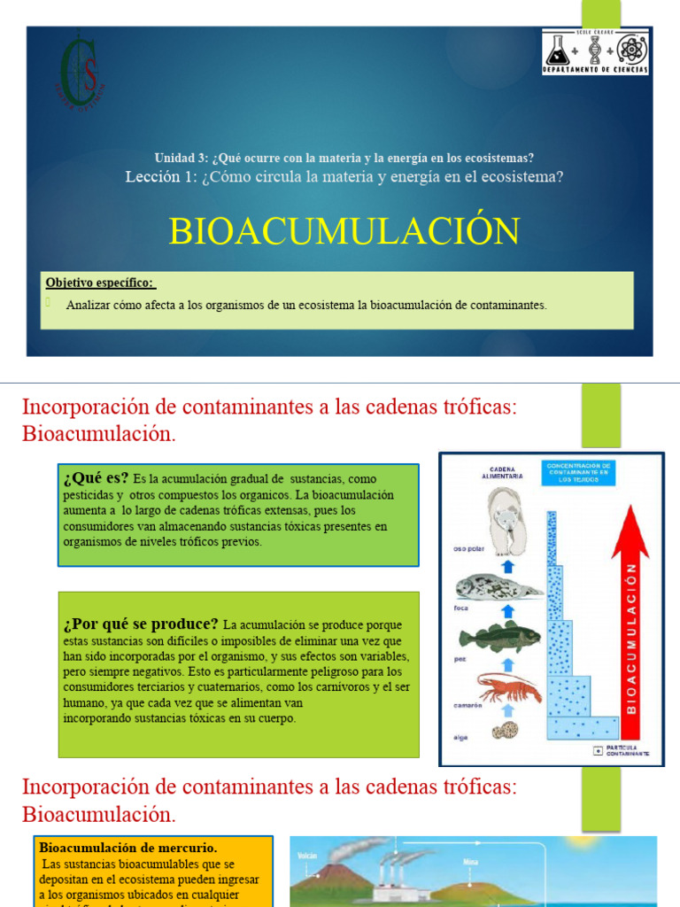 Bioacumulación | PDF | Contaminación | Entorno natural