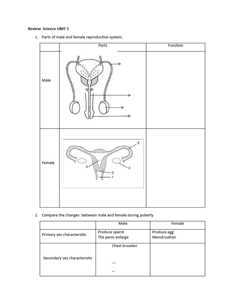 Review Science UNIT 1 P6 | PDF