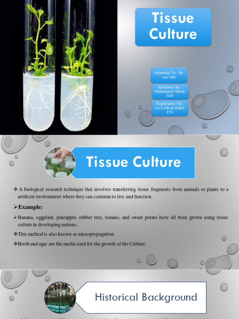 Tissue Culture and Its Applications | PDF | Embryo | Biology