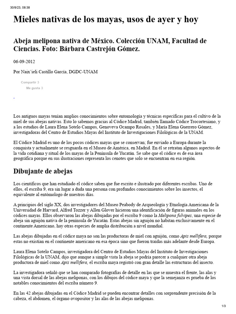 Abejas | PDF | Civilización maya | Miel