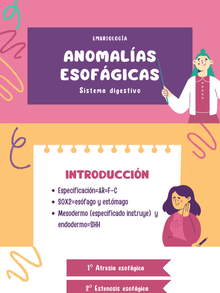 Anomalías esofágicas: tipos y tratamientos | PDF | Esófago ...