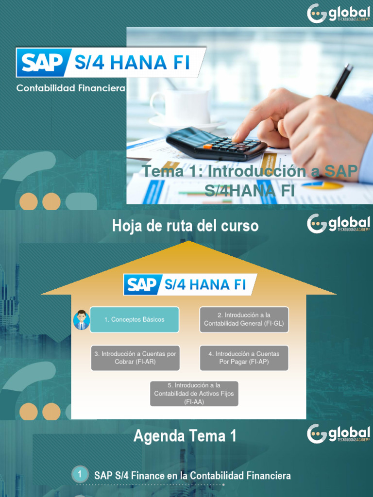 SAP-FI-Finanzas-y-Contabilidad-1-v2 | PDF | Contabilidad | Software de la aplicacion