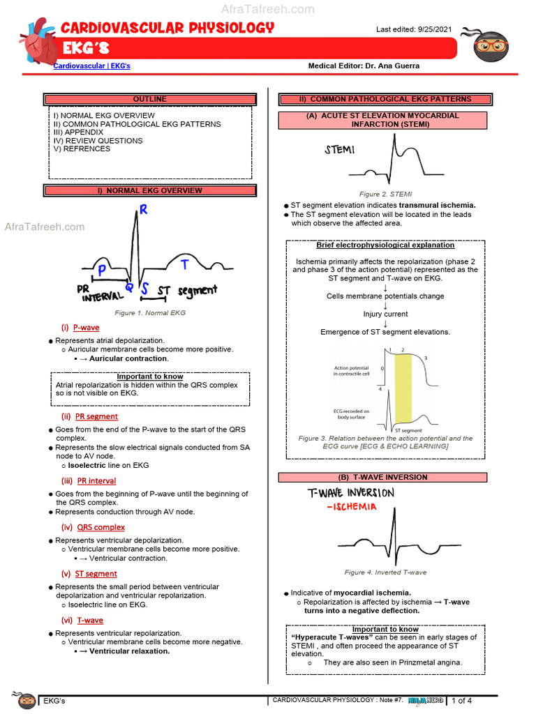 Cardiovascular EKG's atf | PDF | Electrocardiography | Heart