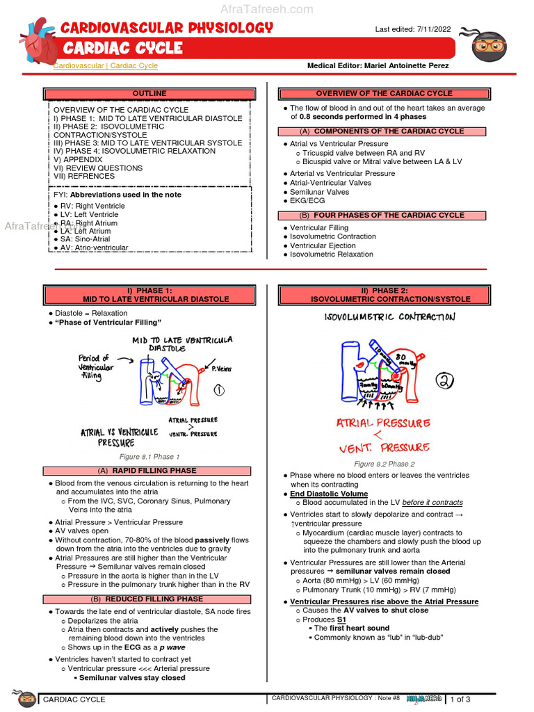 Cardiovascular Cardiac Cycle Atf | PDF | Diastole | Heart Valve