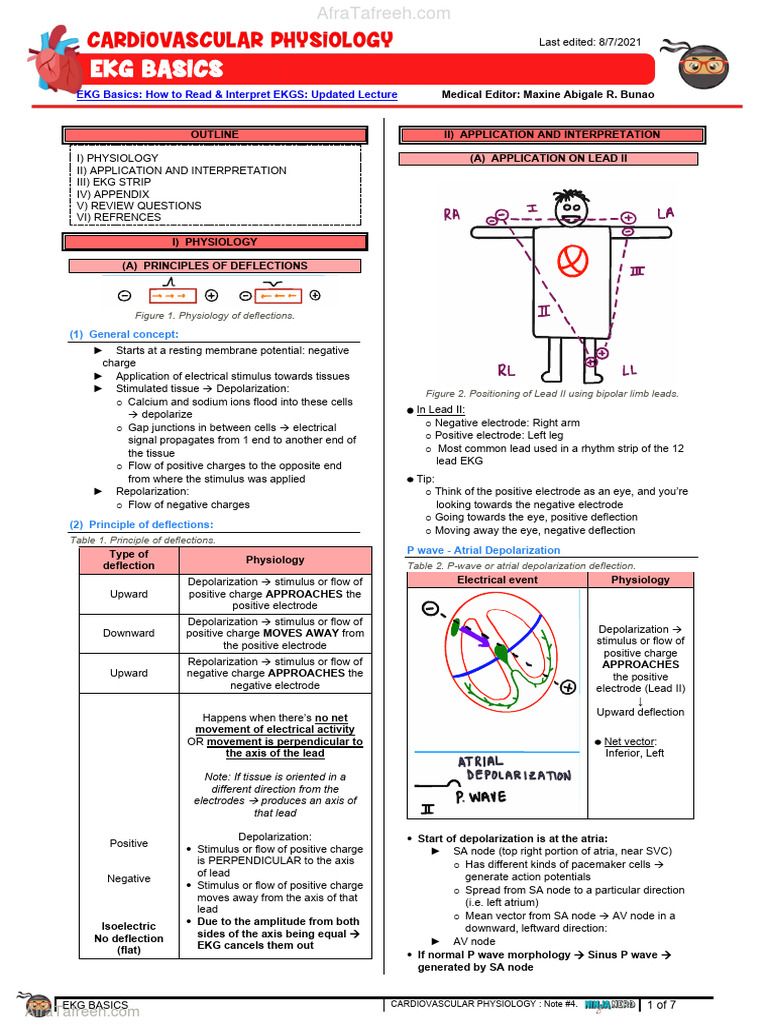 EKG Basics - How to Read & Interpret EKGs- Updated Lecture Atf | PDF ...