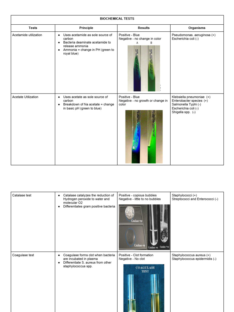 BIOCHEMICAL TESTs | PDF | Streptococcus | Staphylococcus