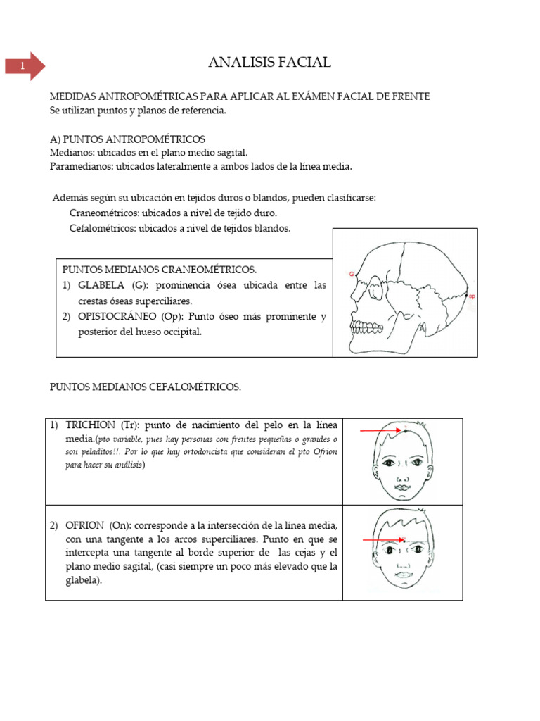 Analisis Facial | PDF | Cráneo | Cara