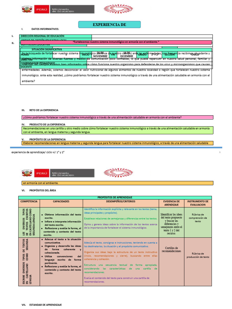 Experiencia de Aprendizaje #08 de 1° y 2° | PDF | Evaluación | Aprendizaje