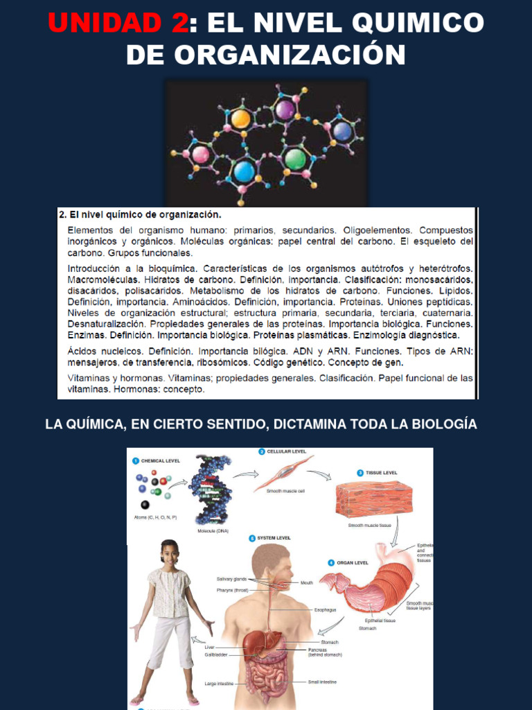 Clase 2 - Completa 2024 | PDF | Elementos químicos | Enlace covalente