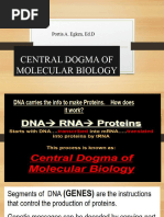 Lesson Plan Grade 10 Mutation | PDF | Genetic Code | Gene