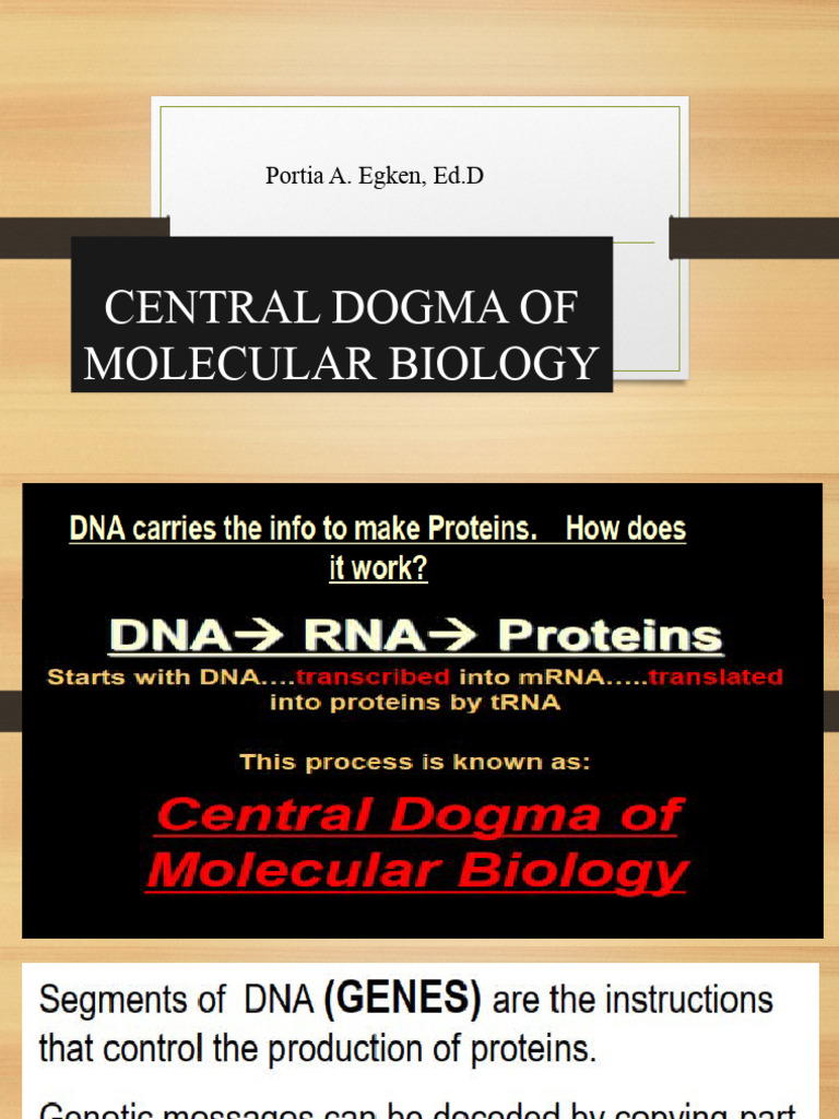 Biology 2 CENTRAL DOGMA OF MOLECULAR BIOLOGY | PDF | Dna Replication ...