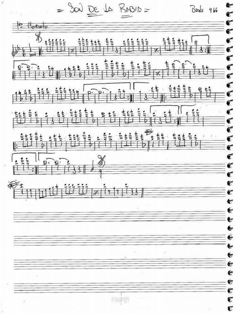 LA RABIA B 466 | PDF