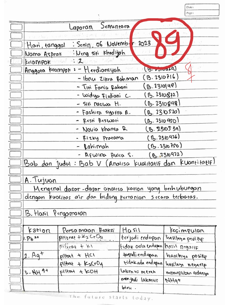 Lapsem Praktikum | PDF