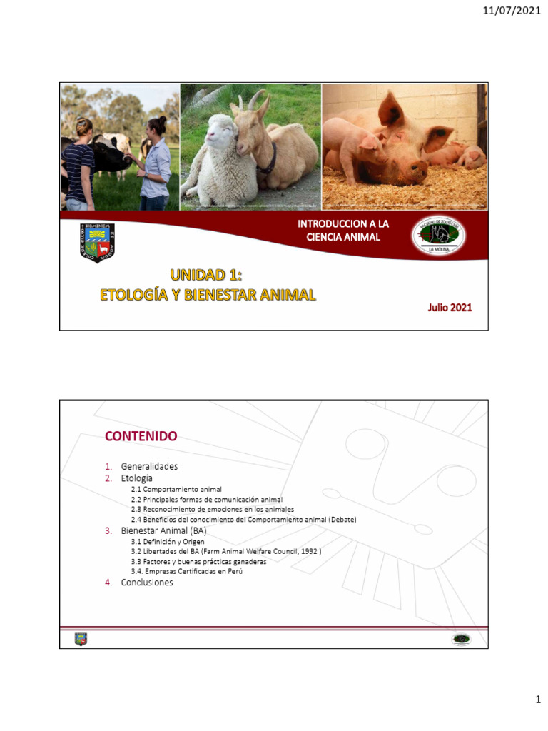 ICA Sesión 02 Bienestar Animal | PDF | Zoología | Biología