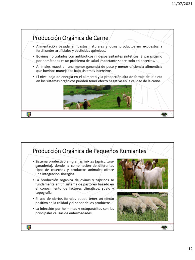 ICA Sesión 3-01. Producción Sostenible-12-22 | PDF | Compost | Residuos