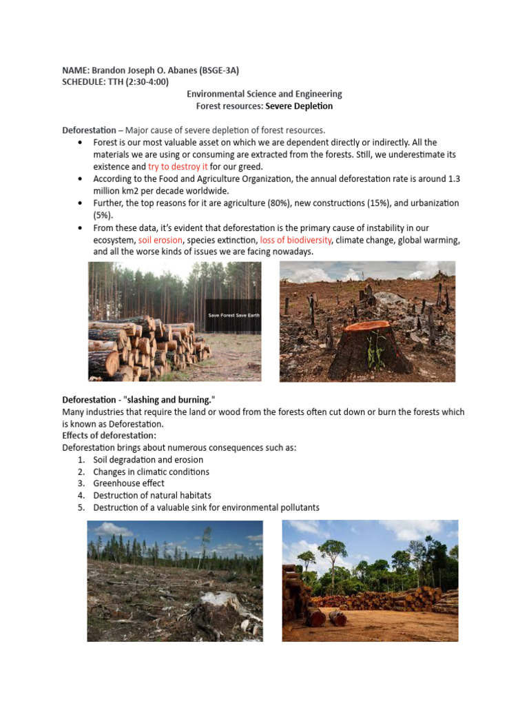 Assignment 4 - Forest Resources Severe Depletion | PDF | Deforestation | Habitat Destruction