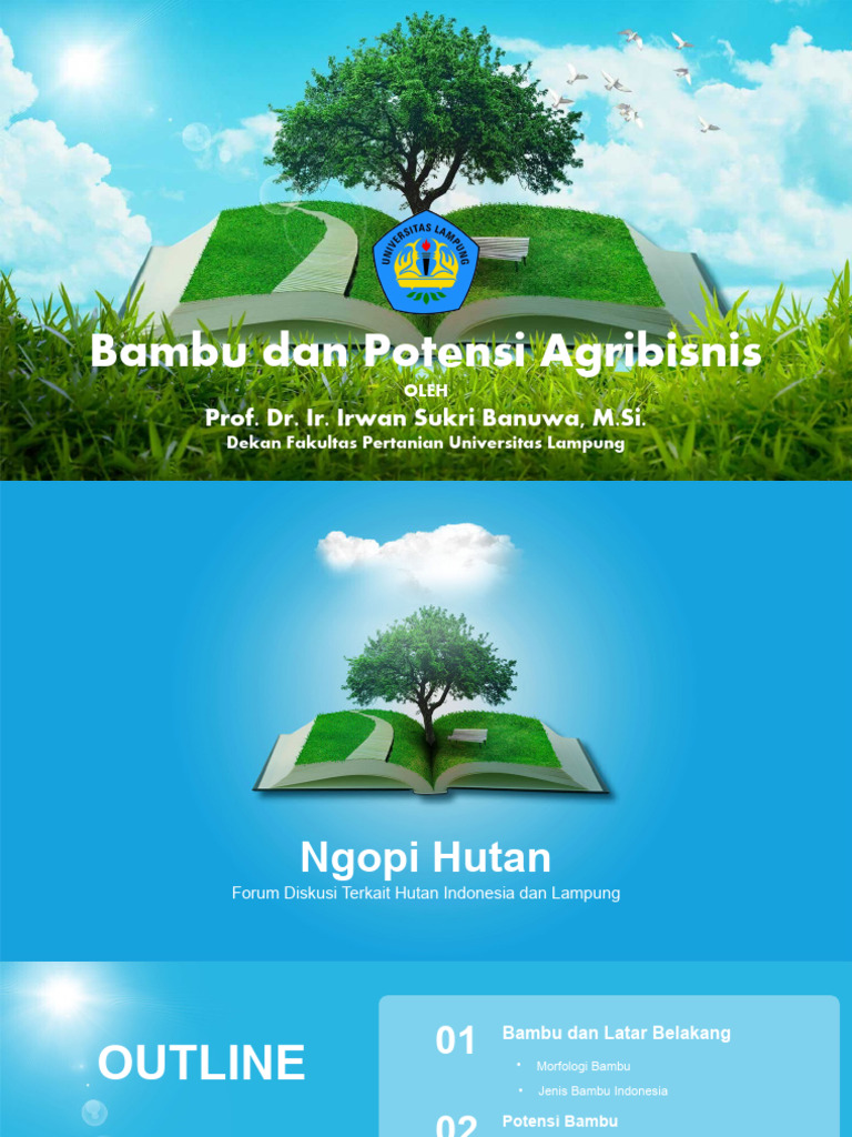 Bambu Dan Potensi Agribisnis Bambu-Ngopi Hutan-OK | PDF