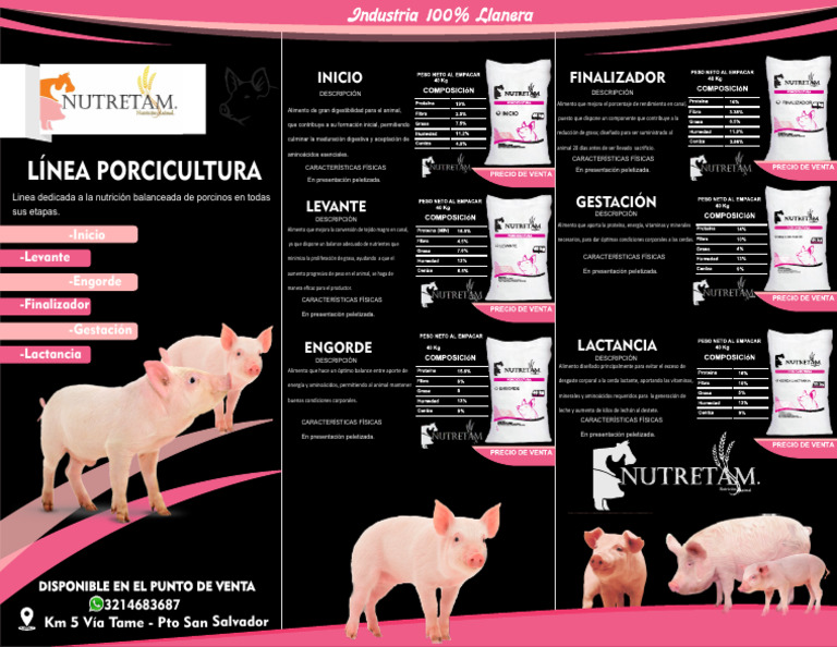 Nutrición Balanceada para Cerdos | PDF | Alimentos | Cerdo