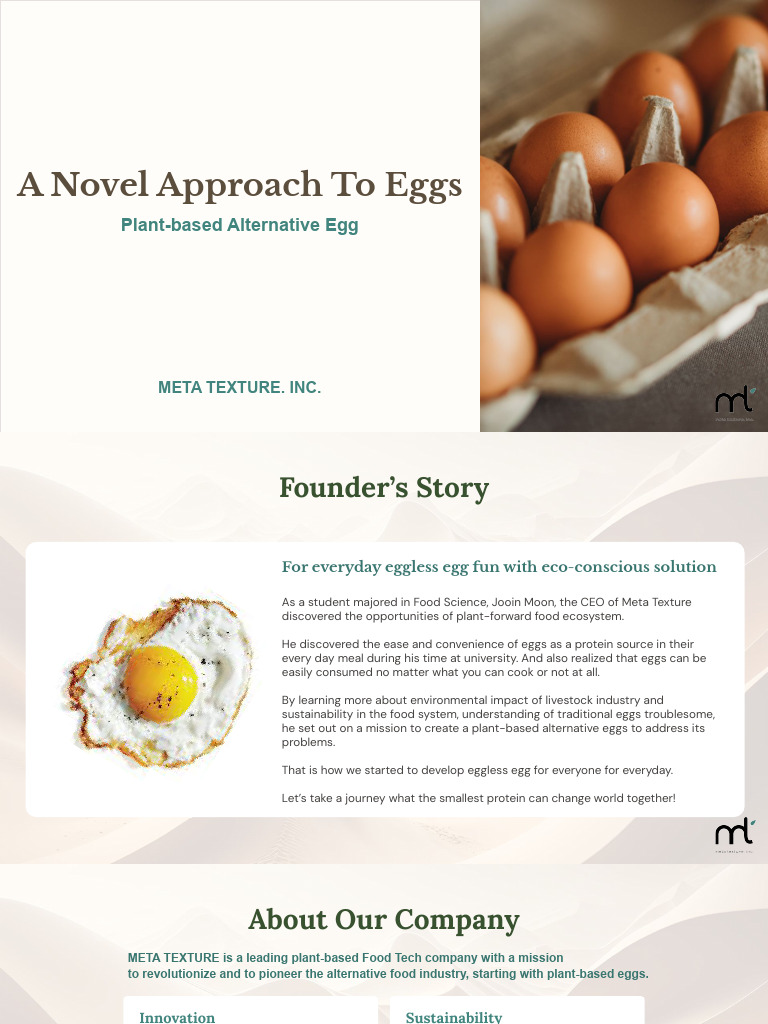 Meta Texture., InC. - Company Profile - Eng | PDF | Sustainability ...