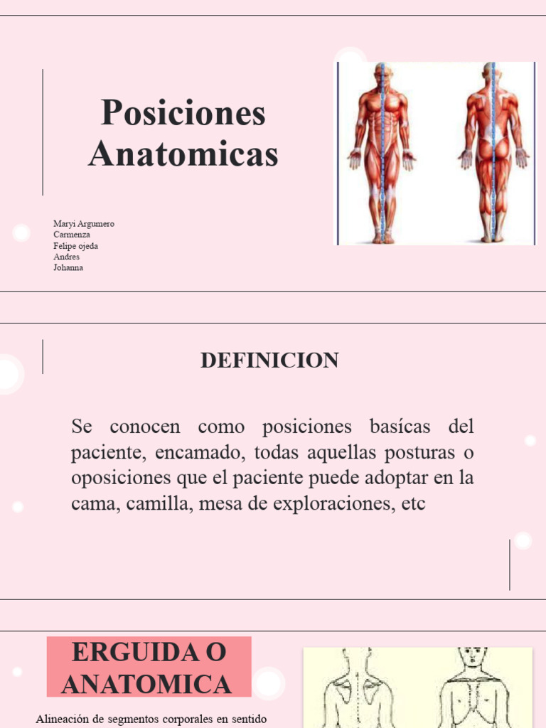 POSICIONES ANATOMICAS | PDF | Términos anatómicos de ubicación | Abdomen