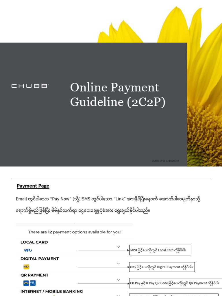 Payment Guide | PDF
