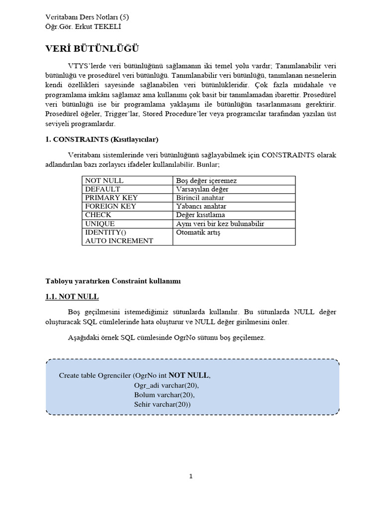 SQL Ders - Data Integrity | PDF