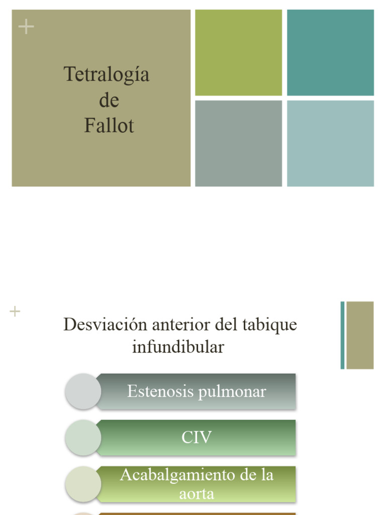 Tetralogia de Fallor | PDF | Medicina CLINICA | Sistema cardiovascular