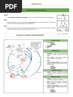 Inhibina y Kispectina | PDF | Hormona luteinizante | Endocrinología