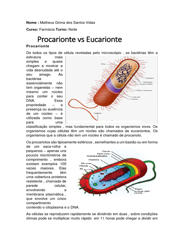 Procarionte Vs Eucarionte Matheus | PDF | Célula (Biologia) | Procarionte
