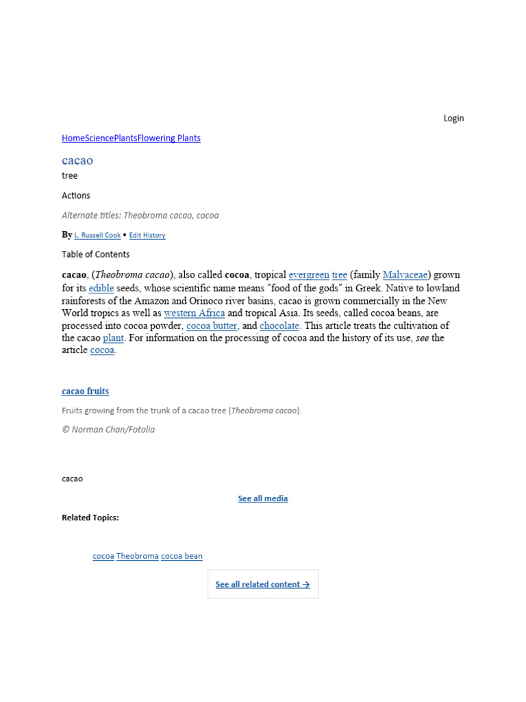 Cacao Information | PDF | Cocoa Bean | Agriculture