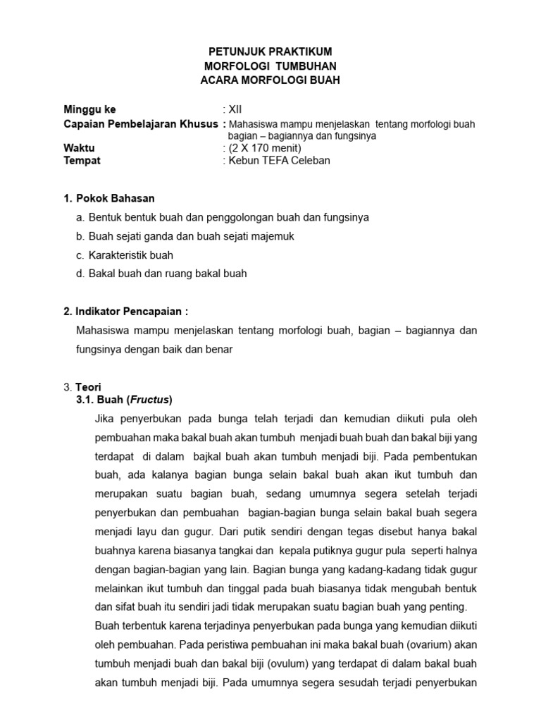 Morfo Buah | PDF
