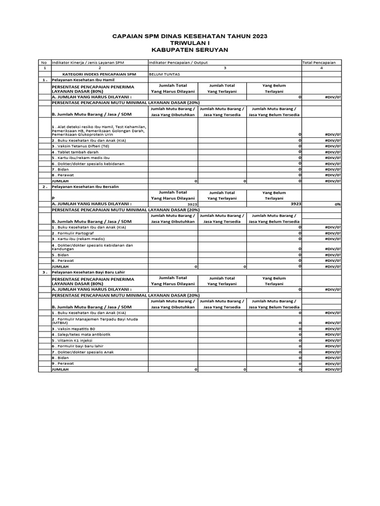 Capaian SPM Dinas Kesehatan 2023 Seruyan | PDF
