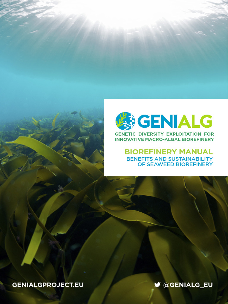 Seaweed Biorefinery Guide | PDF | Biorefinery | Algae