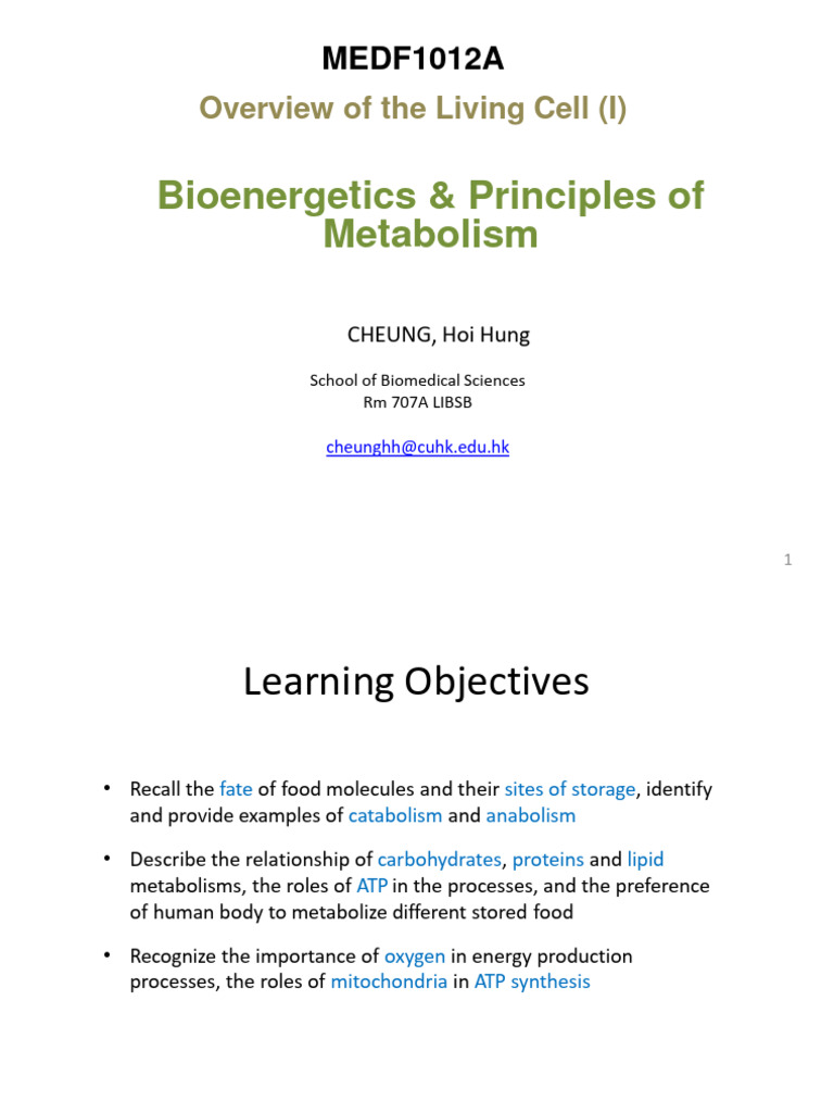 Metabolism: Energy Production Overview | PDF | Adenosine Triphosphate ...